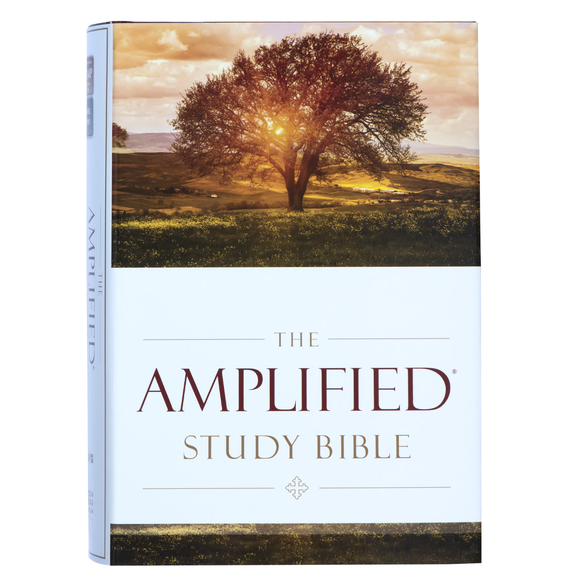 Amplified Study Bible Large Print – ATAVAH